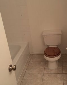 Hall Bathroom Makeover Centsational Style