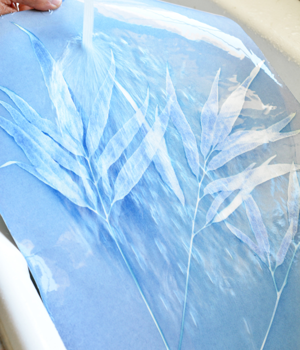 DIY Cyanotype Diptych Art | Centsational Style