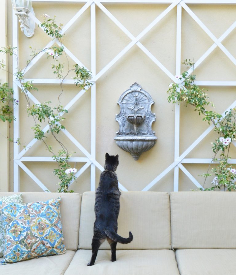 DIY Criss Cross Wall Trellis | Centsational Style