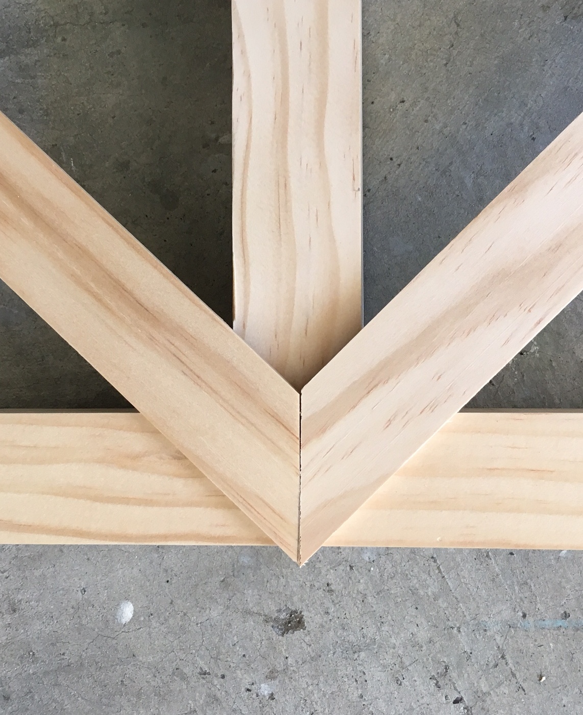 DIY Criss Cross Wall Trellis | Centsational Style