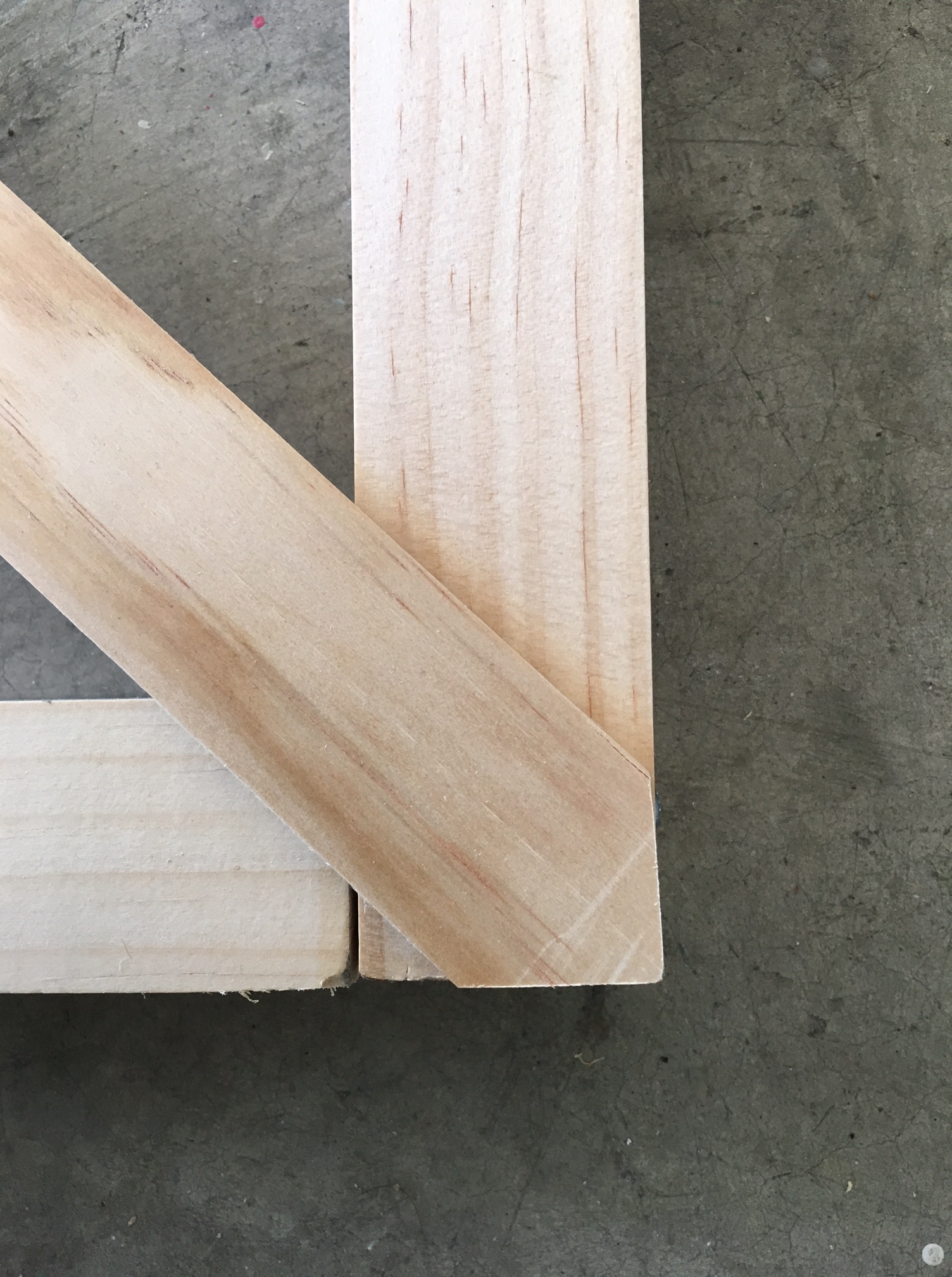 DIY Criss Cross Wall Trellis | Centsational Style