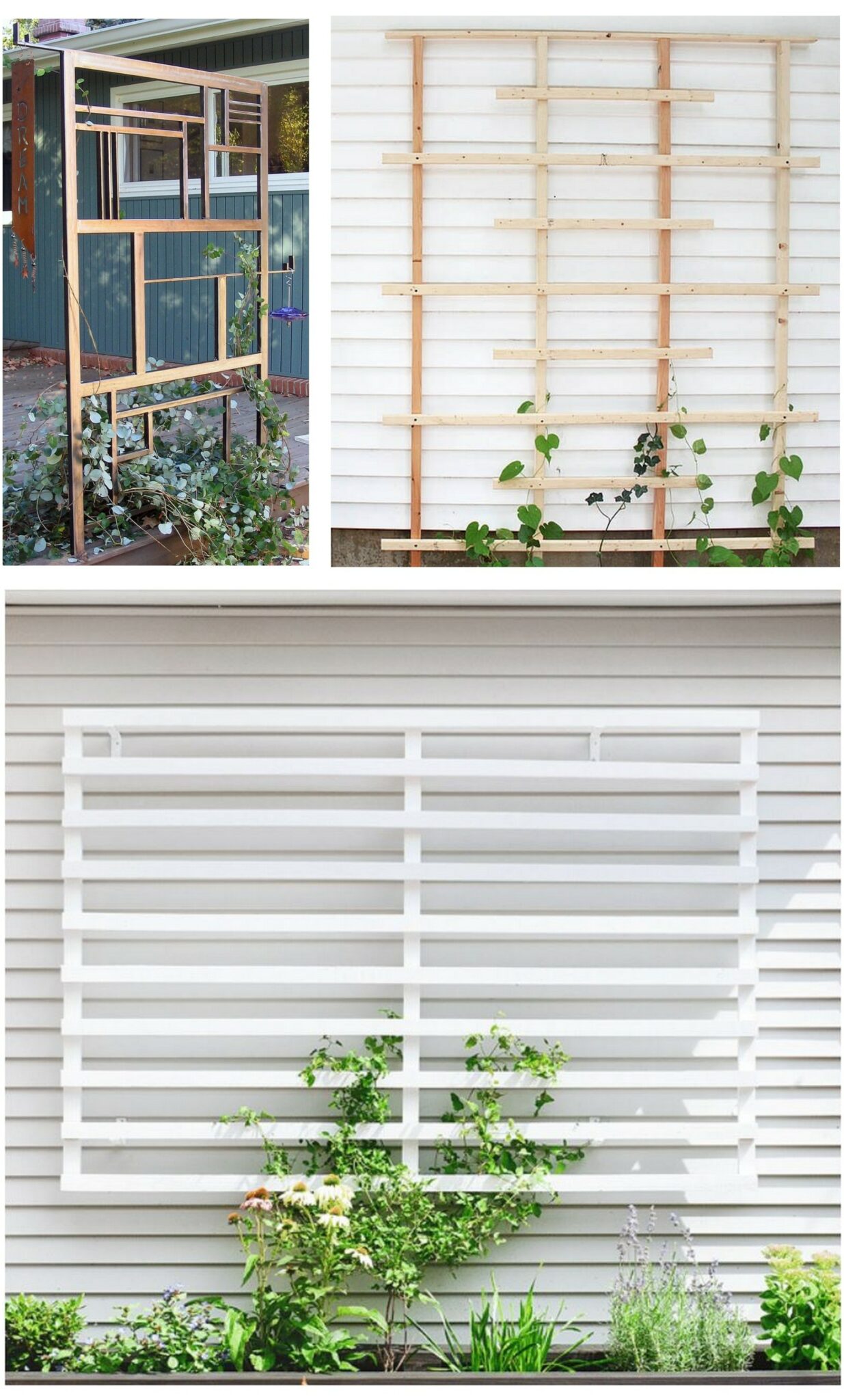 Modern DIY Trellis Designs | Centsational Style