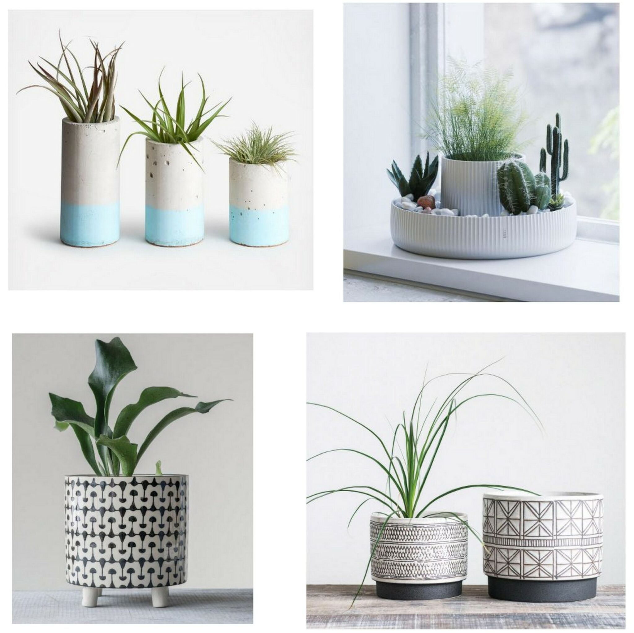 Sources for Interesting Planters | Centsational Style