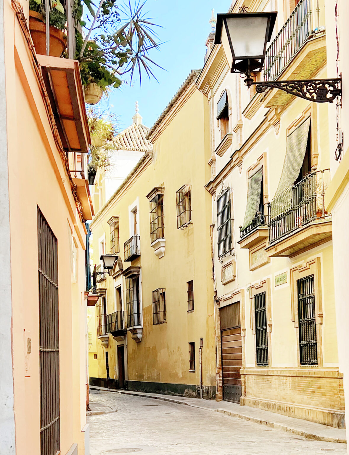 Sunny Seville | Centsational Style