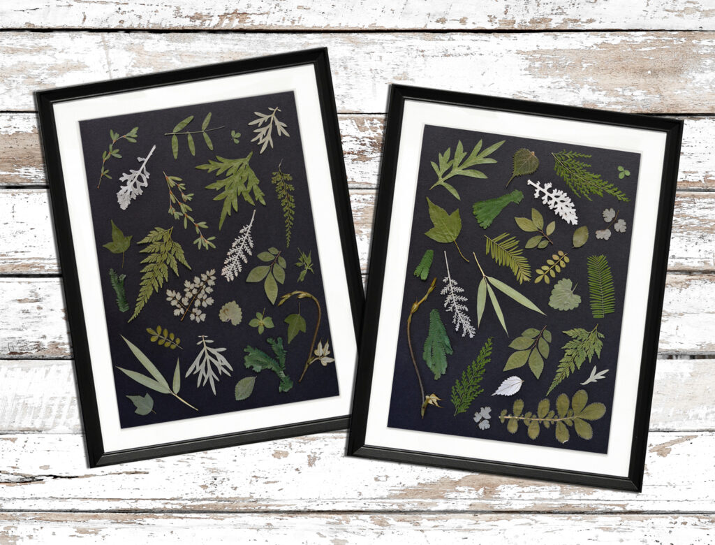DIY: Pressed Leaf Botanical Art | Centsational Style