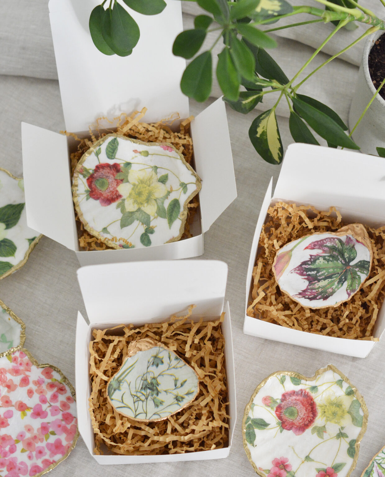 DIY Decorative Shell Trinket Trays | Centsational Style