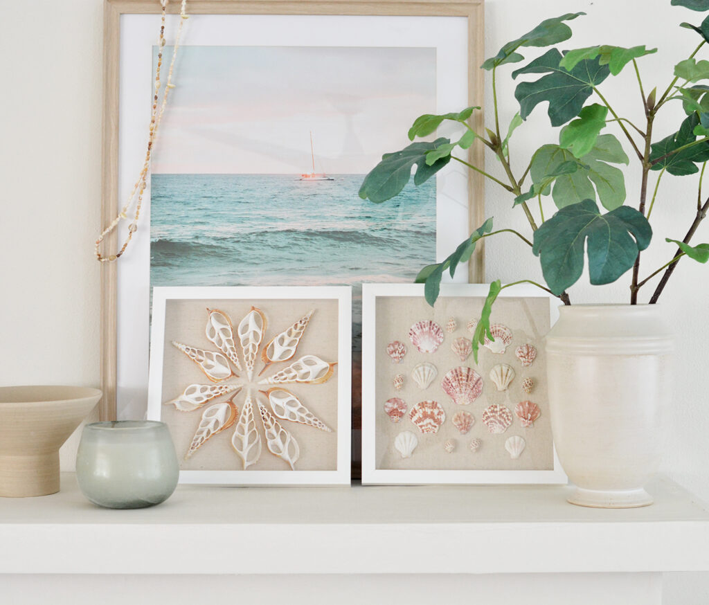 DIY Shell Shadow Boxes | Centsational Style