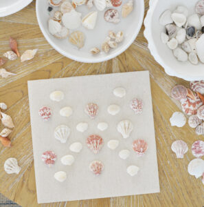 DIY Shell Shadow Boxes | Centsational Style