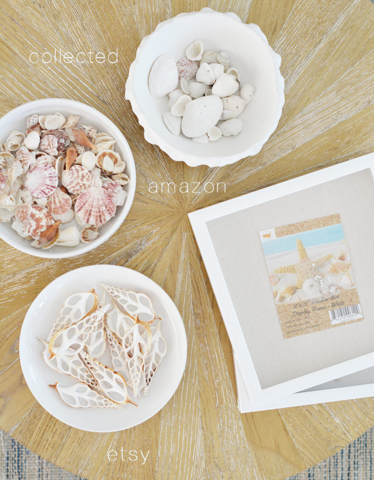 DIY Shell Shadow Boxes | Centsational Style