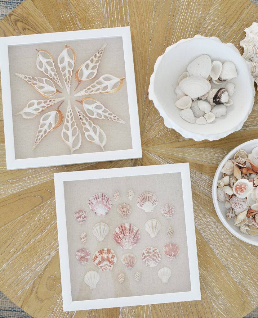 DIY Shell Shadow Boxes | Centsational Style