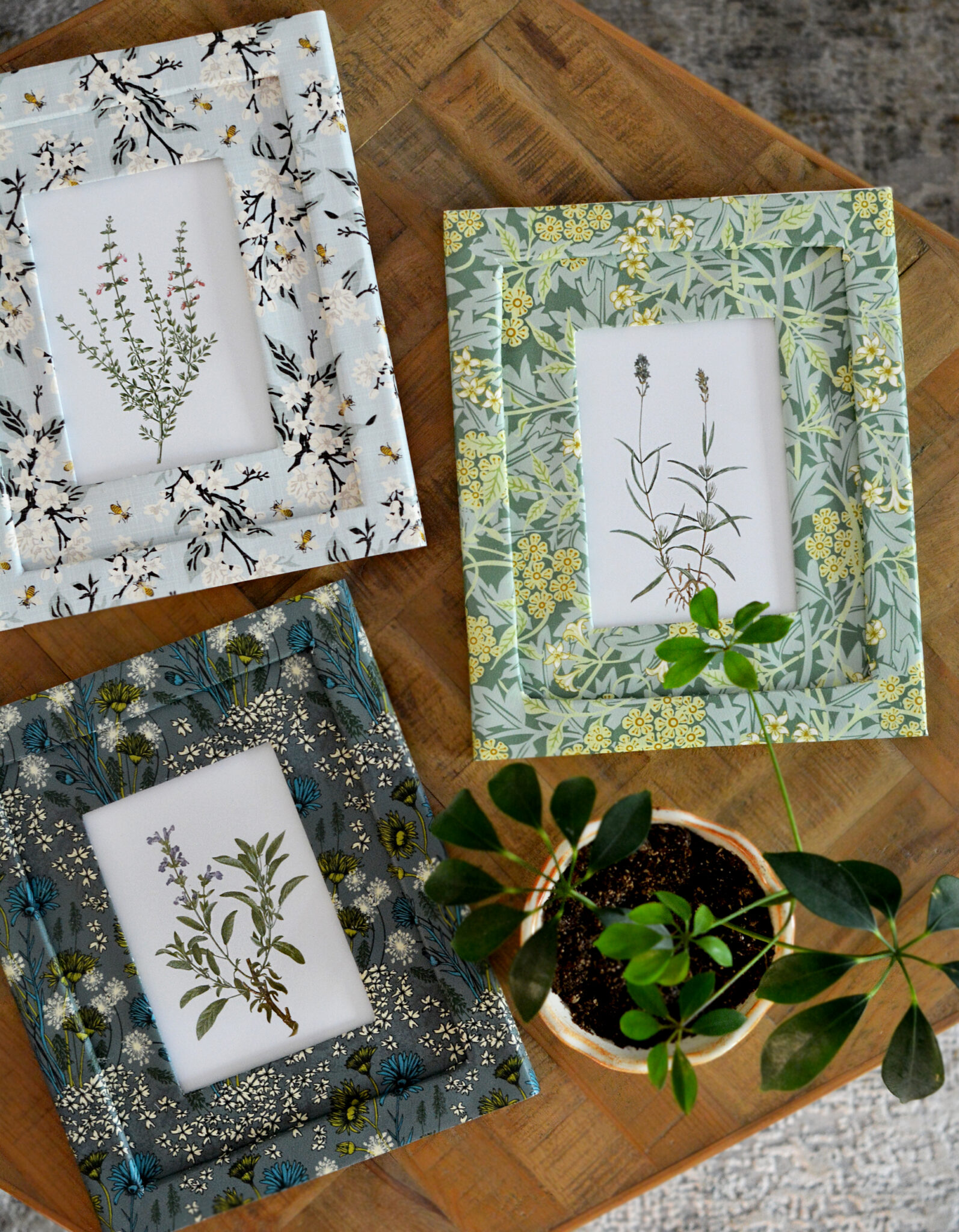 DIY Botanical Wallpaper Picture Frames | Centsational Style